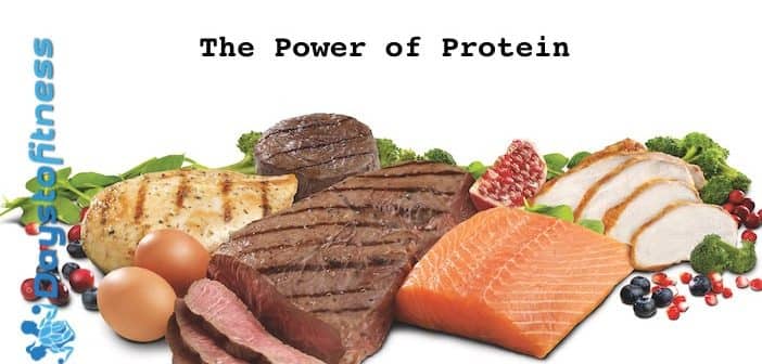 The Power of Protein | Days To Fitness