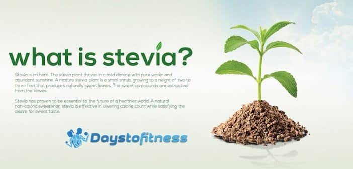 What is Stevia and Is It Good for You ? | Days To Fitness